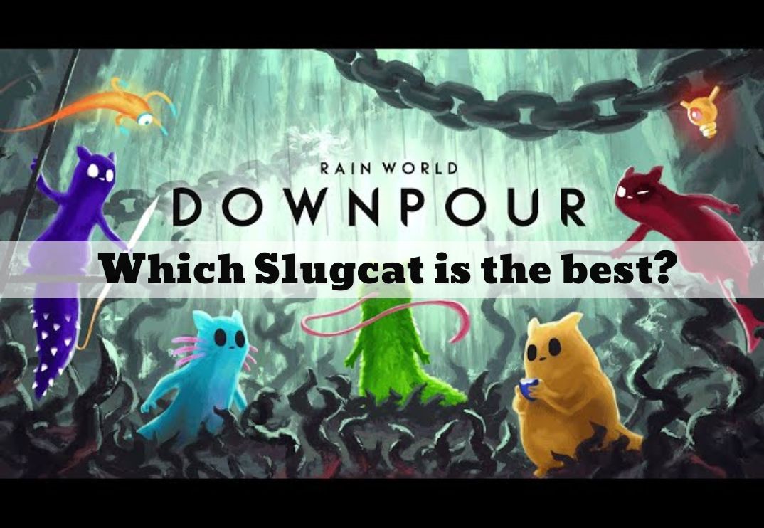 Which Slugcat is the best? | Rain World Store